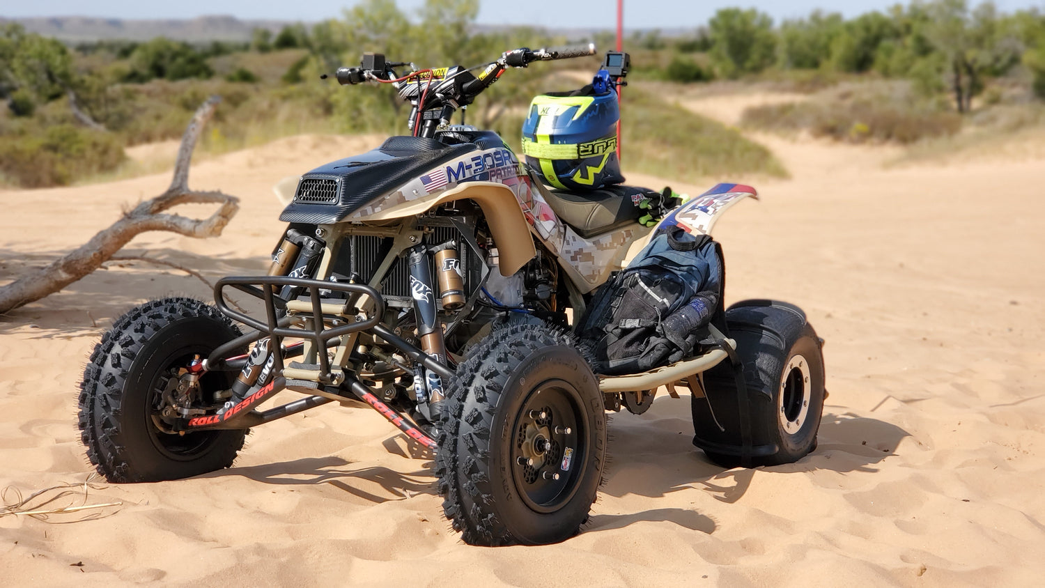 Project 250R – Michael Sabo